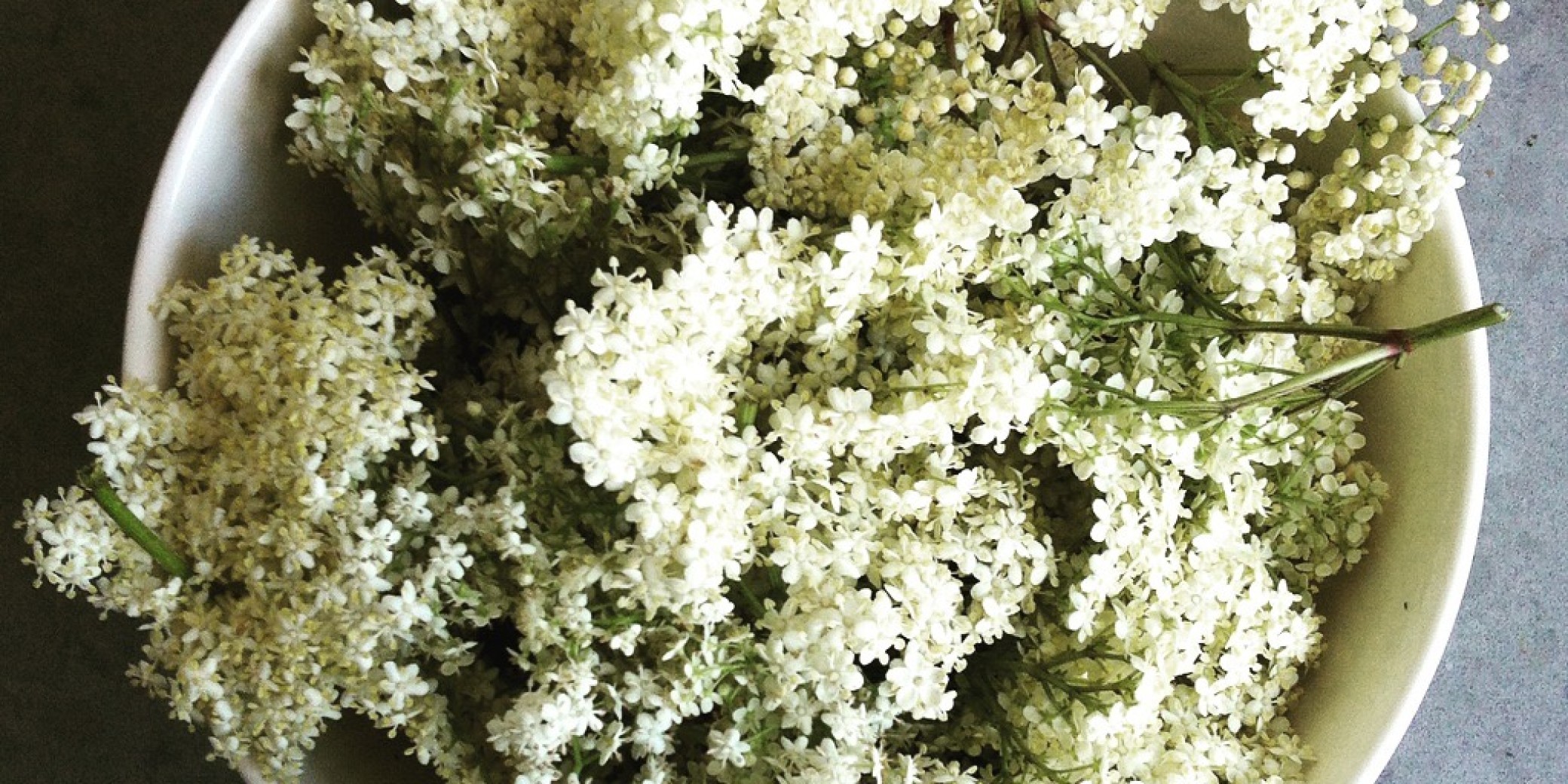 Vlierbloesem siroop - Moestuincursus