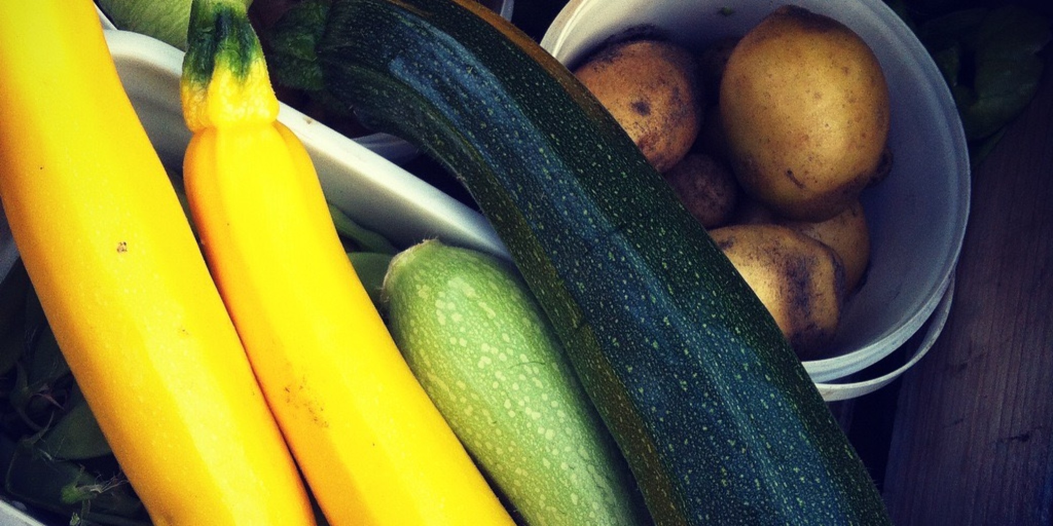 Courgette invriezen - Moestuincursus