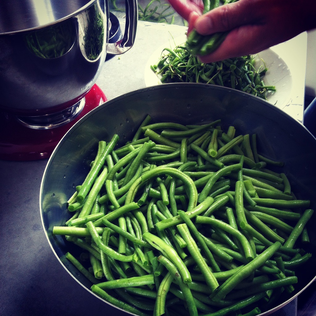 Ladingen boontjes... - Moestuincursus