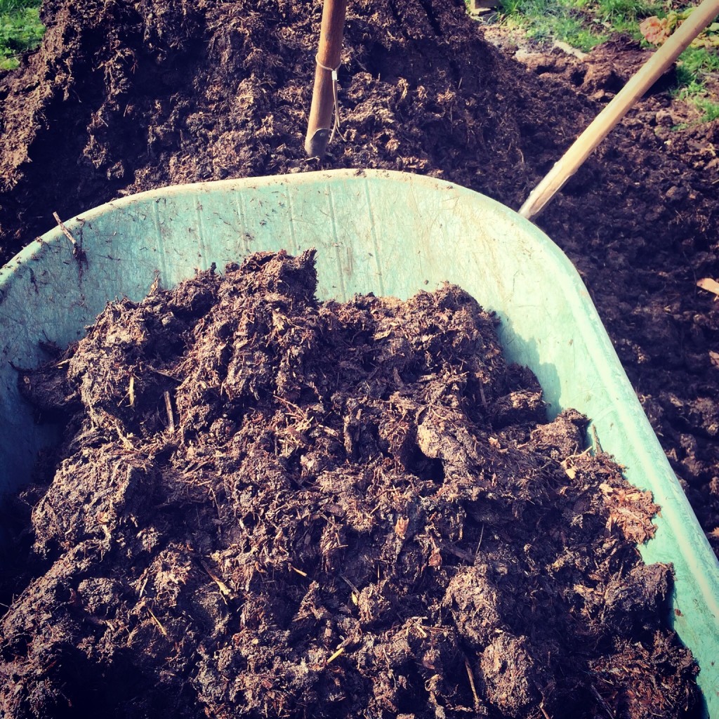 Bemesting - Moestuincursus